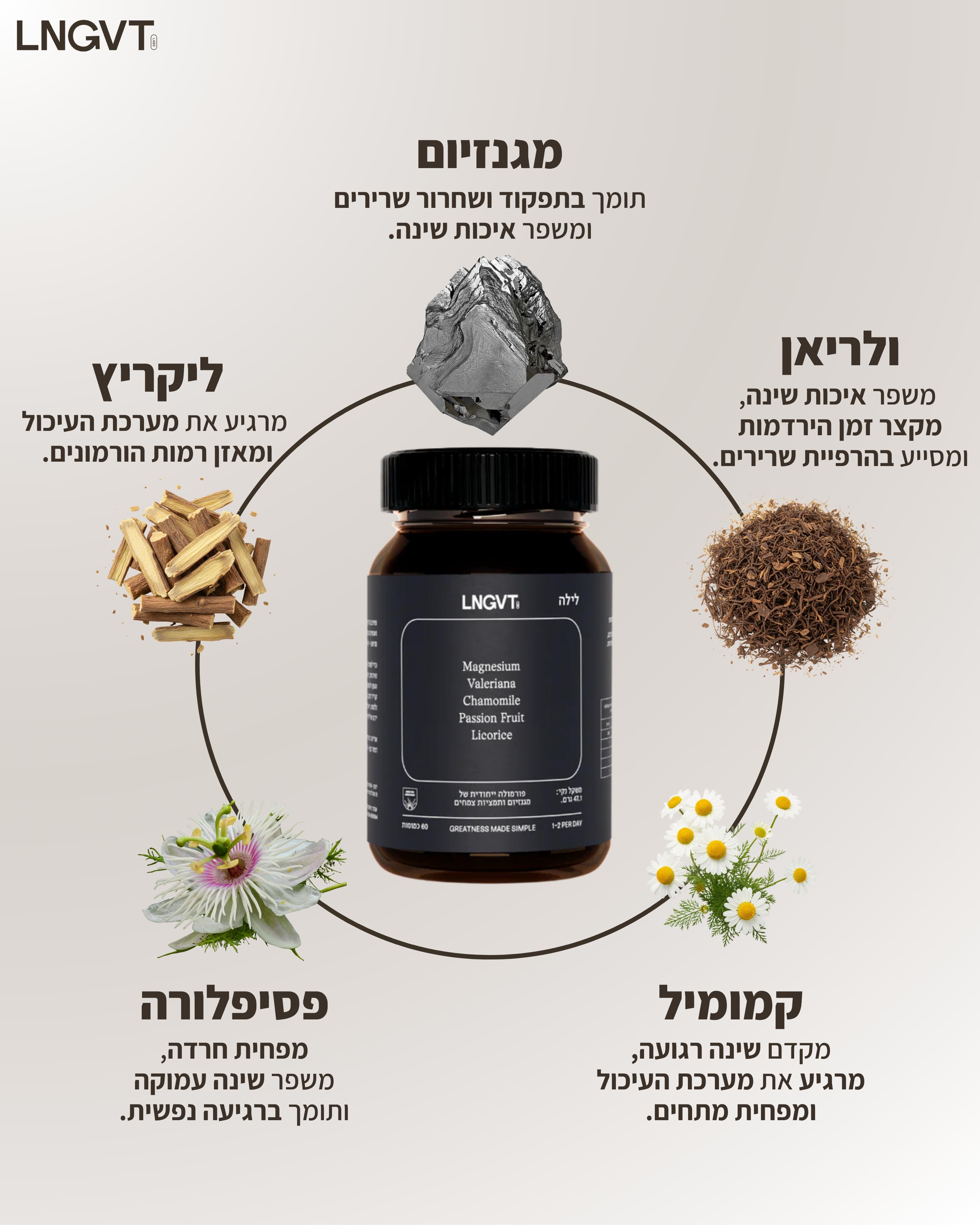 DAY + NIGHT 1 Month - מבצע רכישה ראשונה – LNGVT
